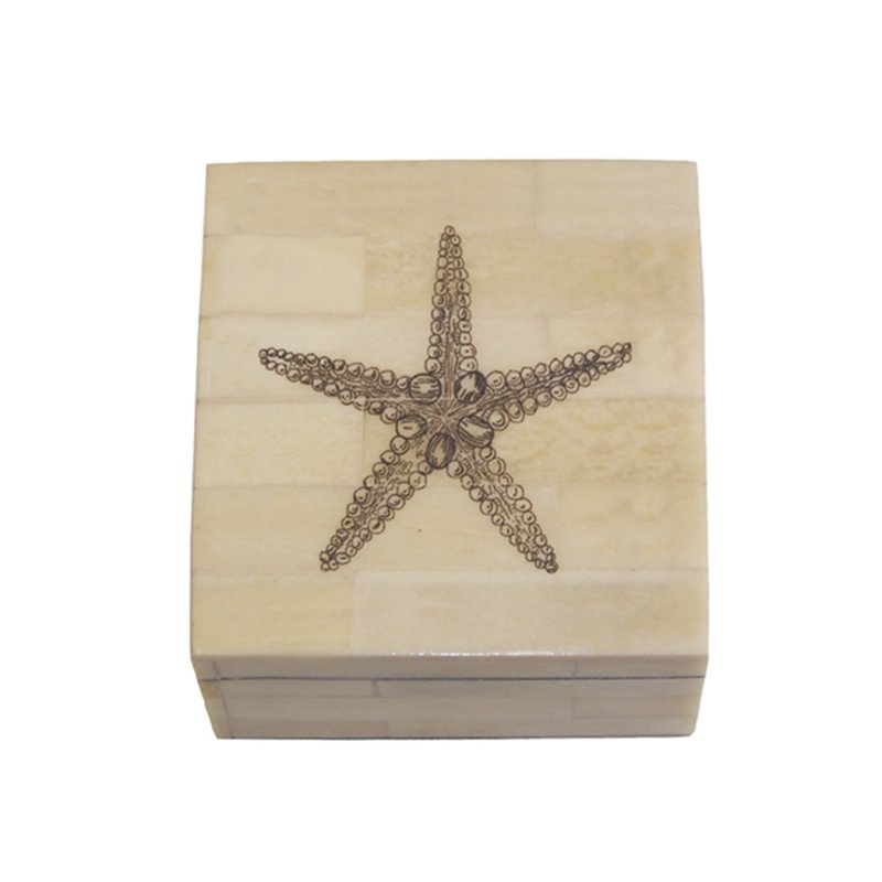 3-1/4" Etched Sea Star Scrimshaw Bone Box Antique Reproduction with ...